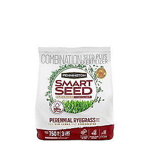 Pennington Smart Seed Perennial Ryegrass 3 lb