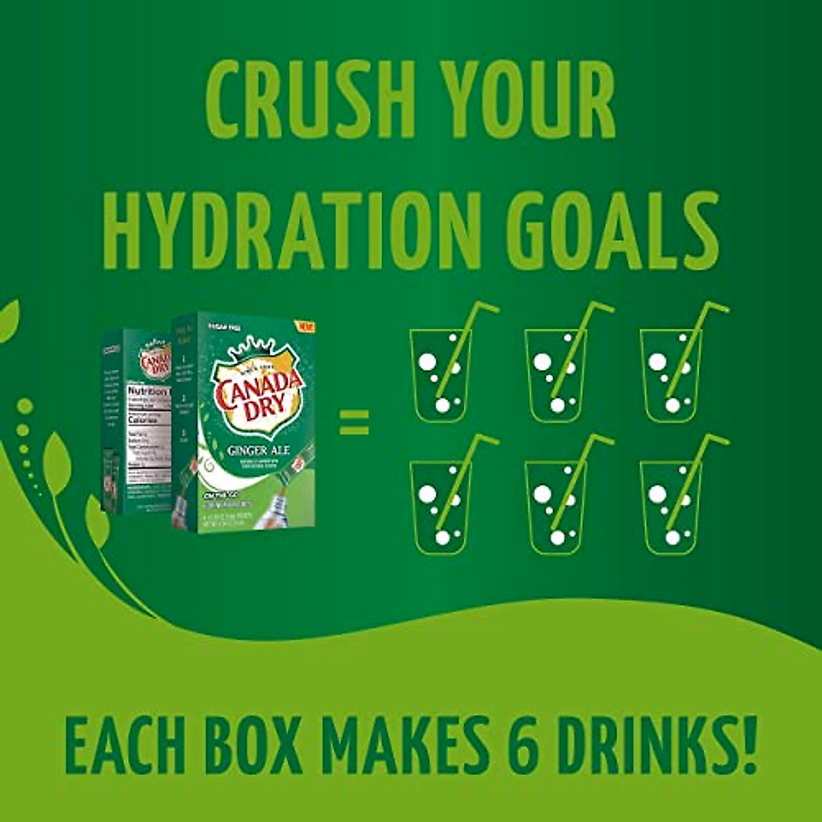 Canada Dry Powder Drink Mix – ginger flavor, Sugar Free & Delicious (Variety, 30 Sticks)