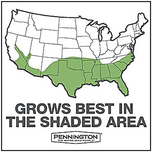 Pennington Bermuda Grass Seed - 5 lb