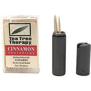 Valtcan Toothpick Holder Titanium Full Metal Portable Canister Keychain Pocket Caddy EDC Fob Design 1Oz Lightweight for Matches battery and Airtight Waterproof for Flavored Toothpicks