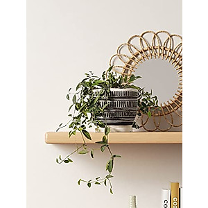 LE TAUCI Cement Planters Pots for Indoor Plants, 5.5 Inch Boho Plant Pots with Drainage Holes & Saucers, Decorative Succulent Pots Indoor, Bonsai Pots, Unglazed, Set of 2