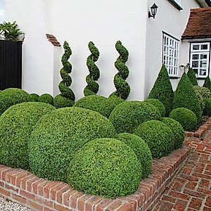 TABOR TOOLS B620A Hedge Shears with Wavy Blade for Trimming Borders, Boxwood, and Bushes, Manual Hedge Clippers with Comfort Grip Handles.