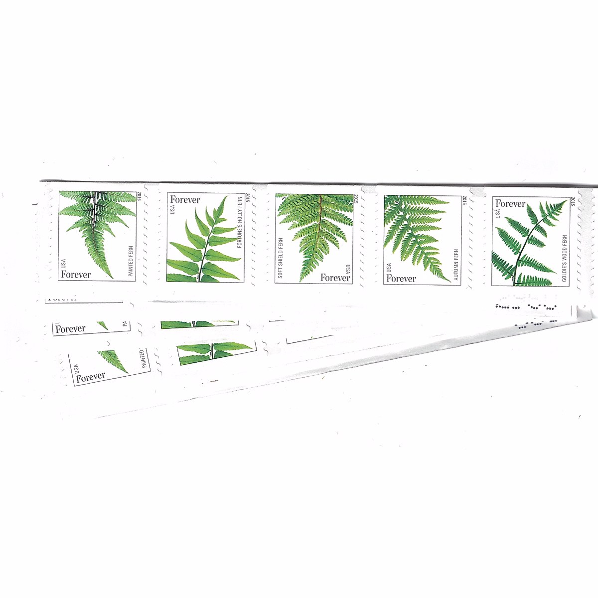 USPS Ferns Stamps - 50 Forever Stamps (5 Strips of 10 Stamps)