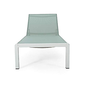 Christopher Knight Home Vanessa Coral Outdoor Chaise Lounges (Set of 2), Green and White