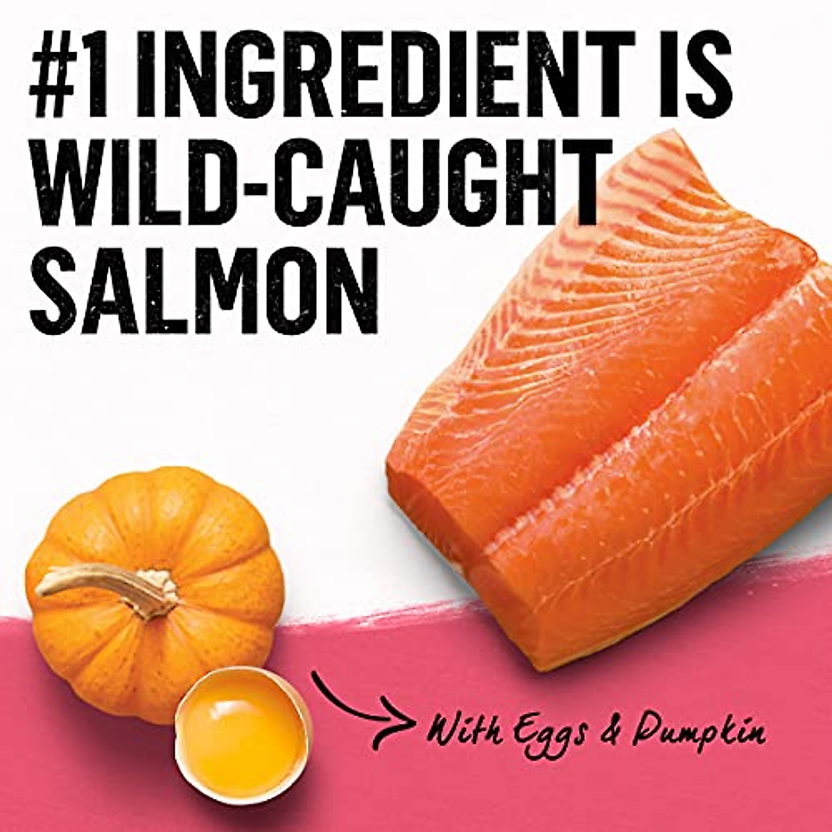 Purina Beyond Natural Dry Dog Food, Superfood Blend Salmon, Egg & Pumpkin Recipe - 3.7 lb. Bag