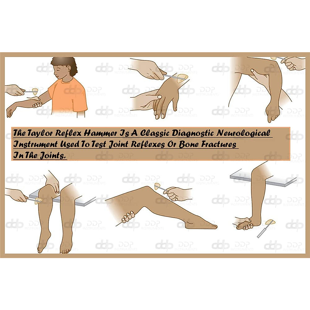 DDP Taylor Hammer Percussion Reflex Rubber Head RED Stainless Steel Instruments