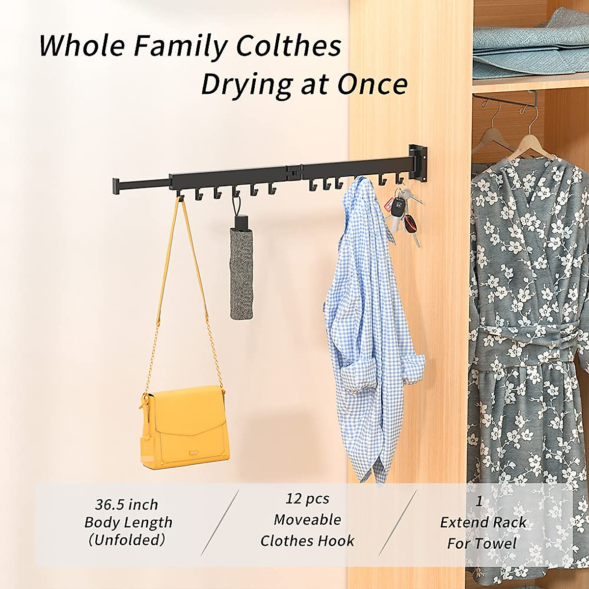 PLKO Retractable Clothes Drying Rack,Wall Mounted Clothes Hangers，Space Saver Laundry Drying Rack for Balcony,Laundry,Bathroom,Patio and Bedroom (2-Pole Black)