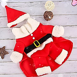 Christmas Cat Funny Clothes! Pet Santa Outfit with Hat! Dogs & Cats Santa Claus Suit Winter Coat! Christmas Costume Set for Small, Medium and Large Pet! Choose Your Size! (Large)