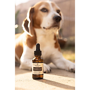 Peaceful Pup - Dog Anxiety & Stress Relief (by Vitality Extracts) - Natural Calm, Ease Anxiety & Stress, Aromatherapy, Lavender Essential Oil, Lemon Essential Oil, in Almond Oil Base