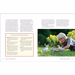 Let's All Keep Chickens!: The Down-to-Earth Guide to Natural Practices for Healthier Birds and a Happier World