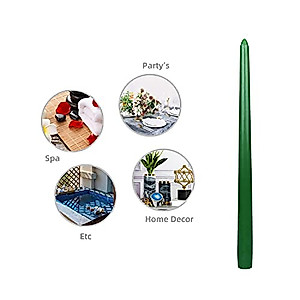 Zest Candle 12-Piece Taper Candles, 12-Inch, Hunter Green