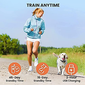 DOG CARE Dog Training Collar with Professional Remote, 2 Receiver Dog Shock Collars with 3 Modes, IP67 Waterproof Electronic Dog E Collar Range 1500FT, Keypad Lock for Small Medium Large Dogs