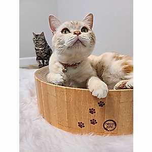 Necoichi Cozy Cat Scratcher Bowl, 100% Recycled Paper, Chemical-Free Materials (Bowl (Oak), Regular)