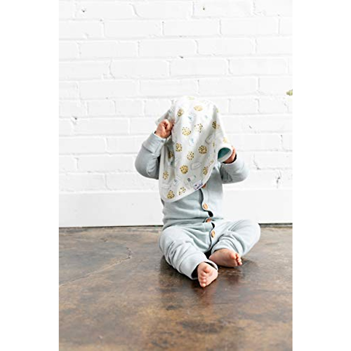 Copper Pearl Baby Security Blanket Set of 2 - Portable Size for Self-Soothing On-The-Go, Ideal Baby Blankets for Boys and Girls, Ultra-Soft, and Gift-Ready Loveys - Chip