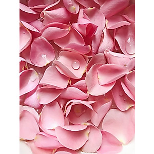 govedic Rose Water for Cooking, Baking, Cocktails | 100% Food Grade Rose Water | Face & Hair Care | Steam-Distilled Edible Damask Rose | 100 ml 3.38 Oz