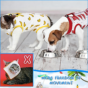 Kacctyen 6 Set Cat Recovery Suit After Surgery Female and Male Cat Surgery Suit Kitten Recovery Suit E Collar Alternative Pajama Cat Clothes for Spay Suit Abdominal Skin Anti Licking(Fruit,Medium)