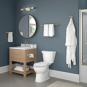 Delta Faucet 77638-CZ Stryke Towel, Double Hook, Champagne Bronze