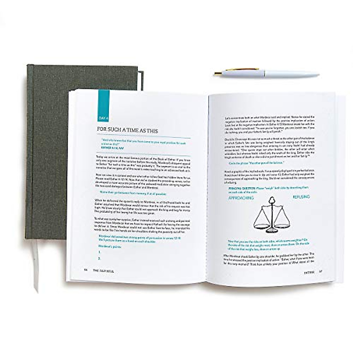 The Faithful - Bible Study Book: Heroes of the Old Testament