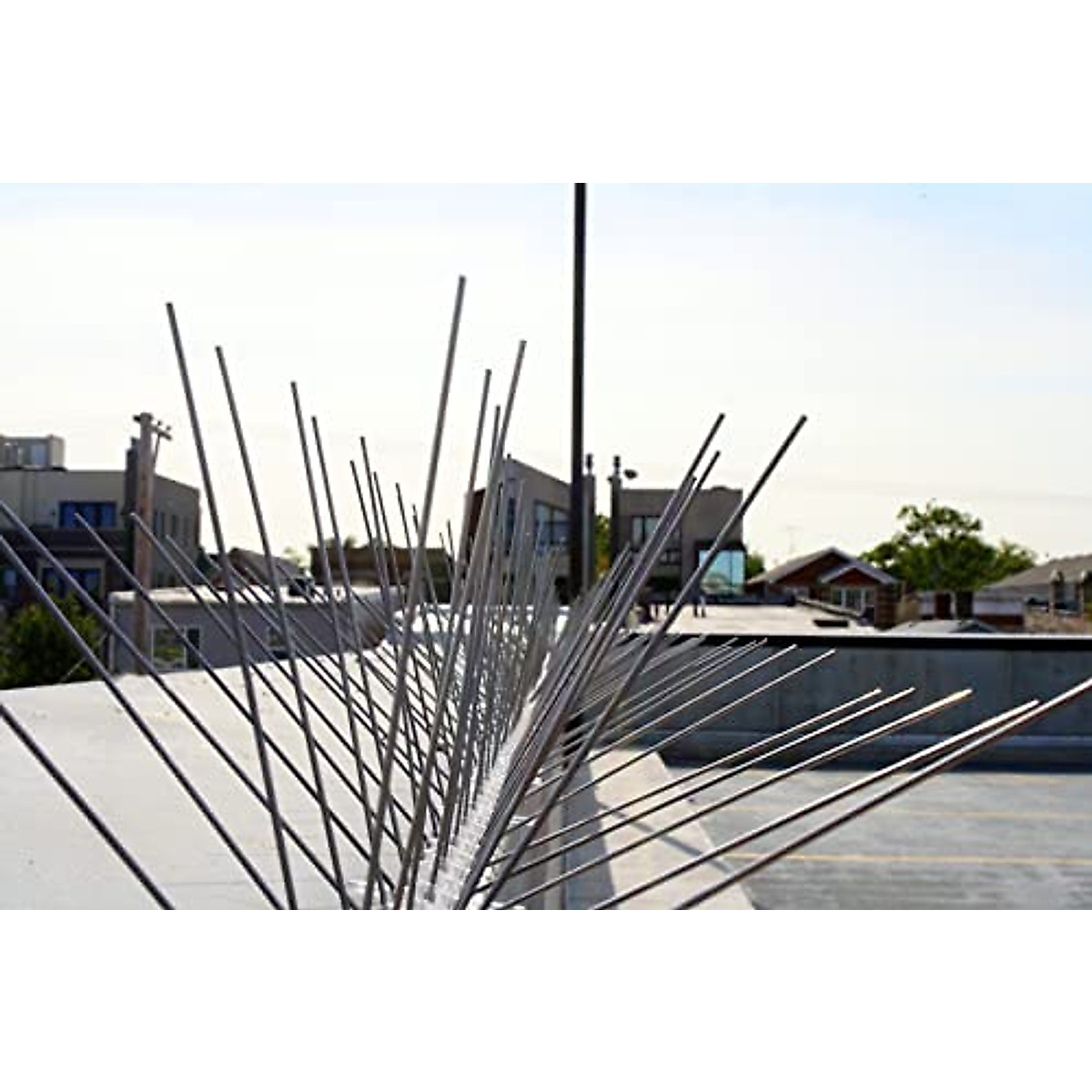 Bird-X Standard (STS-10-R) STAINLESS STEEL SPIKES-10, 10 feet