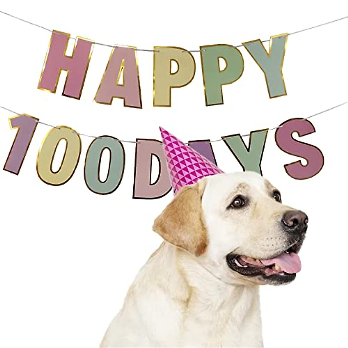 Happy 100 Days Banner Celebration Macaron 100th Day of School Banner Happy 100 Birthday Days Decor Wedding Celebration Party 100 Days Theme Party Decoration