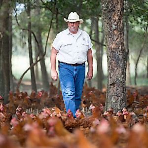 EPIC Protein Bars, Chicken Sriracha, Keto and Paleo Friendly, 1.3 oz, 12 ct