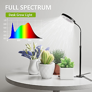 GooingTop Grow Light 6.3'' Ring,6000K 80W White Full Spectrum Gooseneck Plant Lamp for Indoor Home Office Plants Growing,Auto Timer 4 8 12 18Hrs,Height Extendable 15-36'' for Desktop Plants