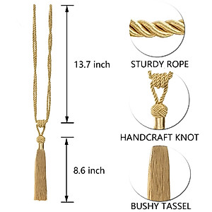 BEL AVENIR Curtain Tiebacks Hand-Woven Holdbacks Home Decorative Tassels Tiebacks (Gold, 2 Pack)