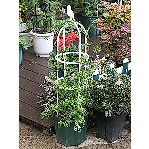 Climbing Vine Rack Rose Trellis Outdoor 120cm Home for Garden Balcony Durable Clematis Plants Plant Support Frame