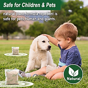 EQCFSATY Snake Repellent for Yard Powerful, Snake Repellent Pet Safe,Snake Away Repellent for Outdoors, Backyard Snake Repellent Outdoor, Snake Repellent Indoor, Snake Deterrent Outdoor -8P, Green