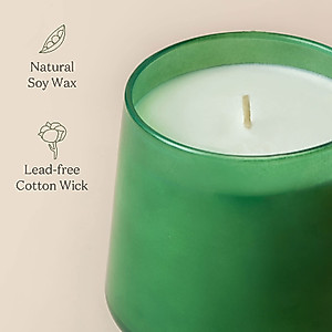 LA JOLIE MUSE Fir & Cedarwood Candle, Christmas Candles for Home Scented, Cedar Candle for Winter, Holiday Candle Gift, Green Glass Jar Candles, Natural Soy Candles, 75 Hours 12.3 Oz