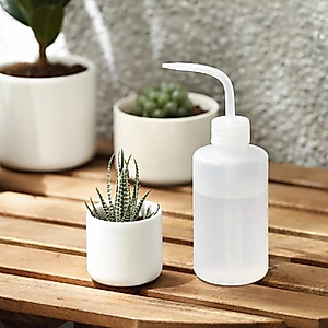 ljhnba 250ml 500ml Safety Wash Bottle Lab Squeeze Bottle With Narrow Mouth Scale For Flower Chemical Wash Bottle 250ml 500ml 2 Pack Squeeze Bottles Safe Watering