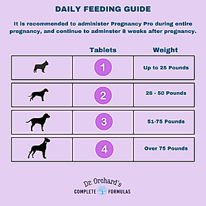 Dr Orchards Pregnancy Pro Premium Dog Supplement for Pregnancy, Prenatal + Postnatal, Lactation and Newborn Health Support, 90 Ct