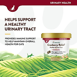 NaturVet Cranberry Relief Plus Echinacea for Cats, 60 ct Soft Chews, Made in The USA with Globally Source Ingredients