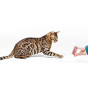 Tamu style Cat Spring Toys (60 Pack), Playful Coils for Kittens, BPA Free Plastic for Swatting, Biting, Hunting, and Active Healthy Play, Colorful 2 Inch Spirals