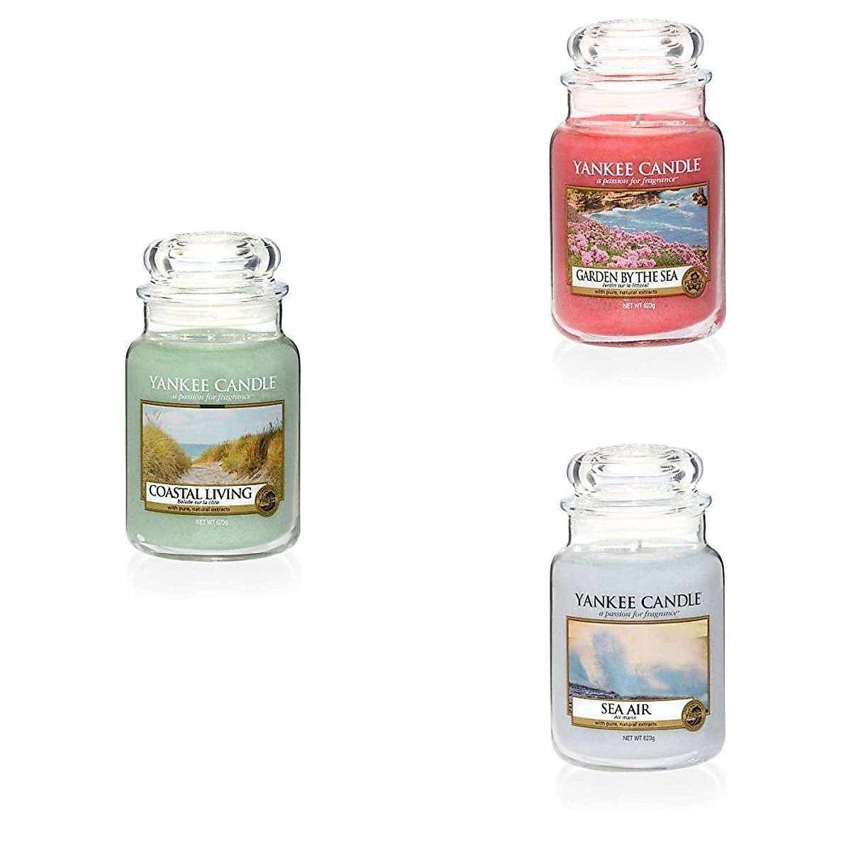 Yankee Candle 5038581005089 jar large Garden by The Sea YSDGBTS, one size, …