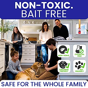 48 Fly Strips Indoor Sticky Hanging with Pins. Fly Trap Fly Paper Strips Indoor Hanging Fly Tape for Indoors and Outdoor. Fly Catcher Fly Ribbon Sticky Fly Traps for Indoors Flypaper. Fruit Gnat Traps