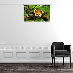 Ymqewq Red Panda Prints Wall Art Animal Canvas Pictures Photography Poster Print Kids Room Decor Unframed13 x8