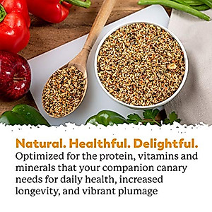 Dr. Harvey's Incredible Canary Food, Wholesome Seeds, Nuts, Fruits, and Vegetables Bird Feed for Singing Canaries, Trial Size (4 Oz)