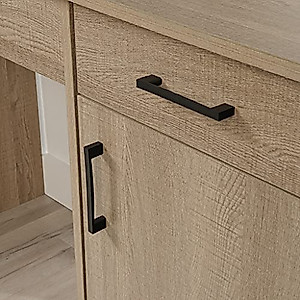 Sauder Beginnings Desk, L: 46.81" x W: 18.50" x H: 29.96", Summer Oak Finish