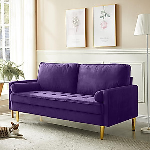 Hdxdkog Velvet Loveseat Sofa, 66.9'' Mid Century Modern Small Love Seats with 2 Pillows & Golden Legs Comfy Couch for Living Room, Upholstered 2 Seater Sofa for Small Apartment (Purple)