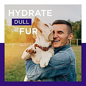 Lavender Oil Dog Deodorizing Spray - Dog Spray for Smelly Dogs and Puppies and Dog Calming Spray with Lavender Essential Oil - Lightly Scented Dog Deodorizer for Smelly Dogs and Dog Essentials