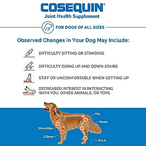 Nutramax Cosequin Standard Strength Joint Health Supplement for Dogs, with Glucosamine and MSM, 75 Chewable Tablets (Pack of 2)