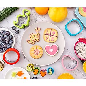 Sandwich Cutter for Kids 22 Piece (MEDIUM), Nifogo Cookie Cutters and Sealer Set, Bread Decruster Pancake Maker Heart Square Circle Dinosaur Shape DIY Mold for Boys Girls