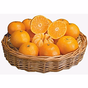 Bonsai Orange Tree Seeds, 40 Seeds,Grow a Delicious Fruit Bearing Bonsai Tree