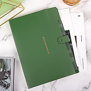 SKYDUE Expanding File Folder, Folders with 8 Pockets , Folder Organizer with Snap Closure A4 and Letter Size Accordian Document Paper Organizer for Home School Office (OliveGreen)
