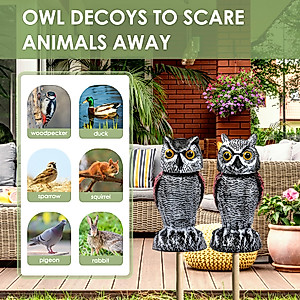 SETCADE Owl Decoy to Scare Birds Squirrels Away, Rotating Head Plastic Fake Garden Owl Statue, Halloween Decorations Outdoor, Owl Scarecrow Bird Deterrents for Outside Garden Orchard Courtyard 2 Pack