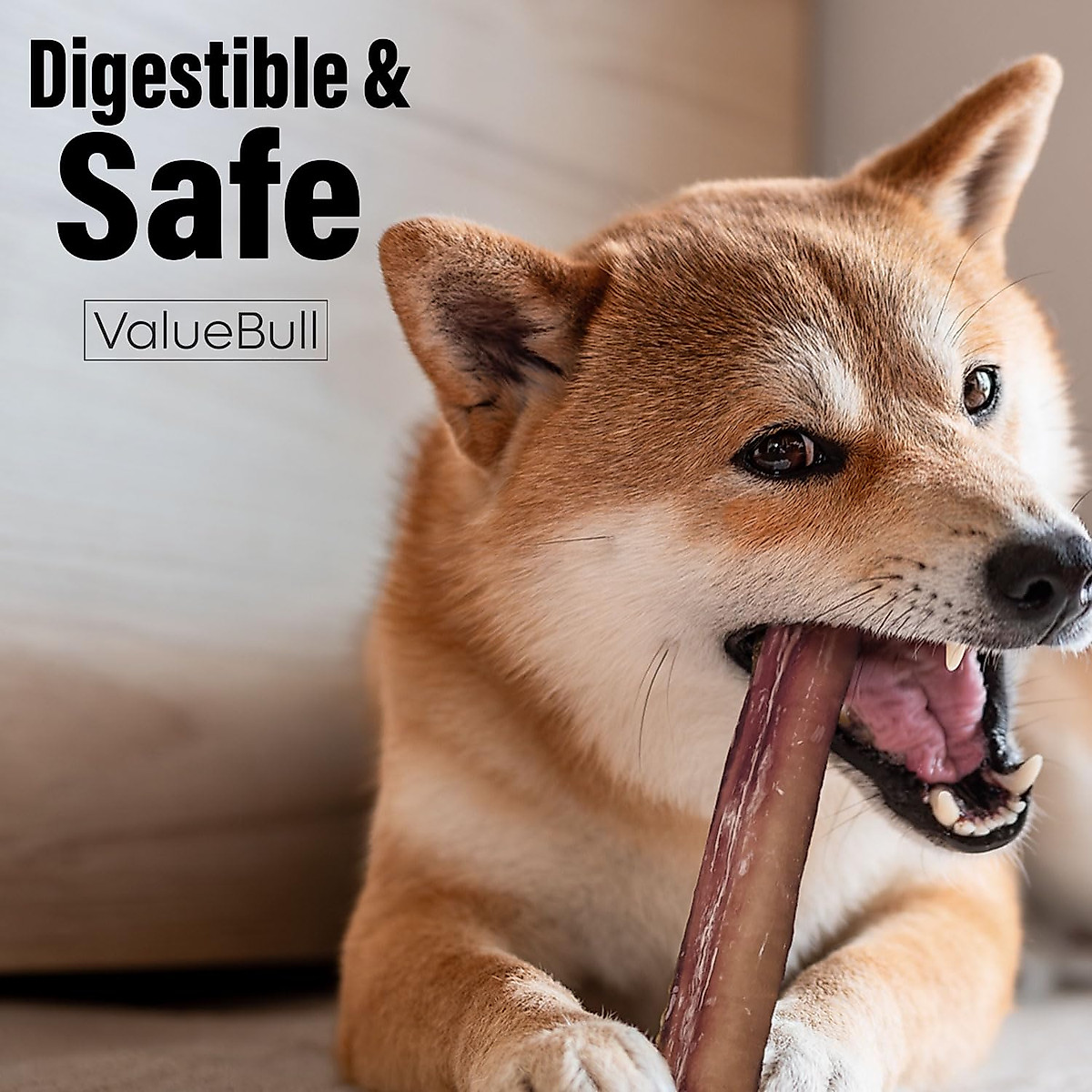 ValueBull Bully Sticks for Dogs, Medium 12 Inch, 50 Count - All Natural Dog Treats, 100% Beef Pizzles, Single Ingredient Rawhide Alternative