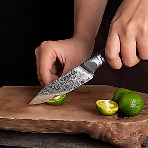 XT XITUO Knife set Knife Professional Kitchen Japanese Knife Set Steel Chef Knife Abalone Shell Handle Santoku Meat Vegetable Cleaver Cut Cutting Vegetable (8PC Chef Knife Set)