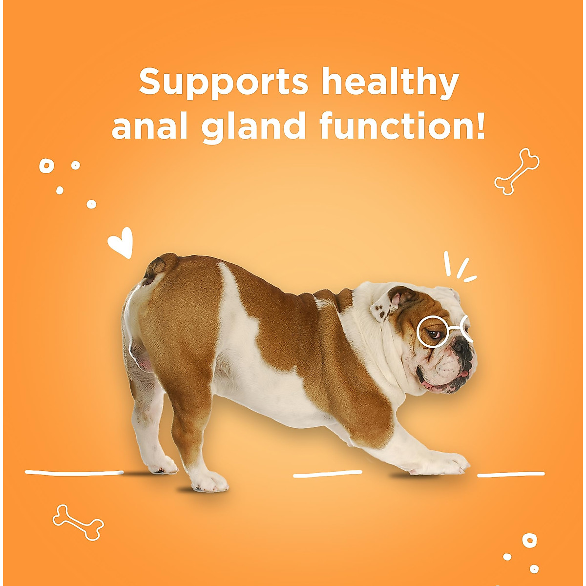 First Impressions No Scoots, Good Poops for Dogs - Tasty Soft Chews for Healthy Anal Gland and Digestion, High in Fiber for Dogs - with Beet Pulp, Psyllium Husk, and Pumpkin - 60 ct