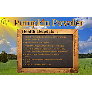100% Pumpkin for Dogs/Cats, U.S.A. Dried Pumpkin Powder Fiber Supplement, Diarrhea/Constipation Fix, 12 Servings, Trial Packet
